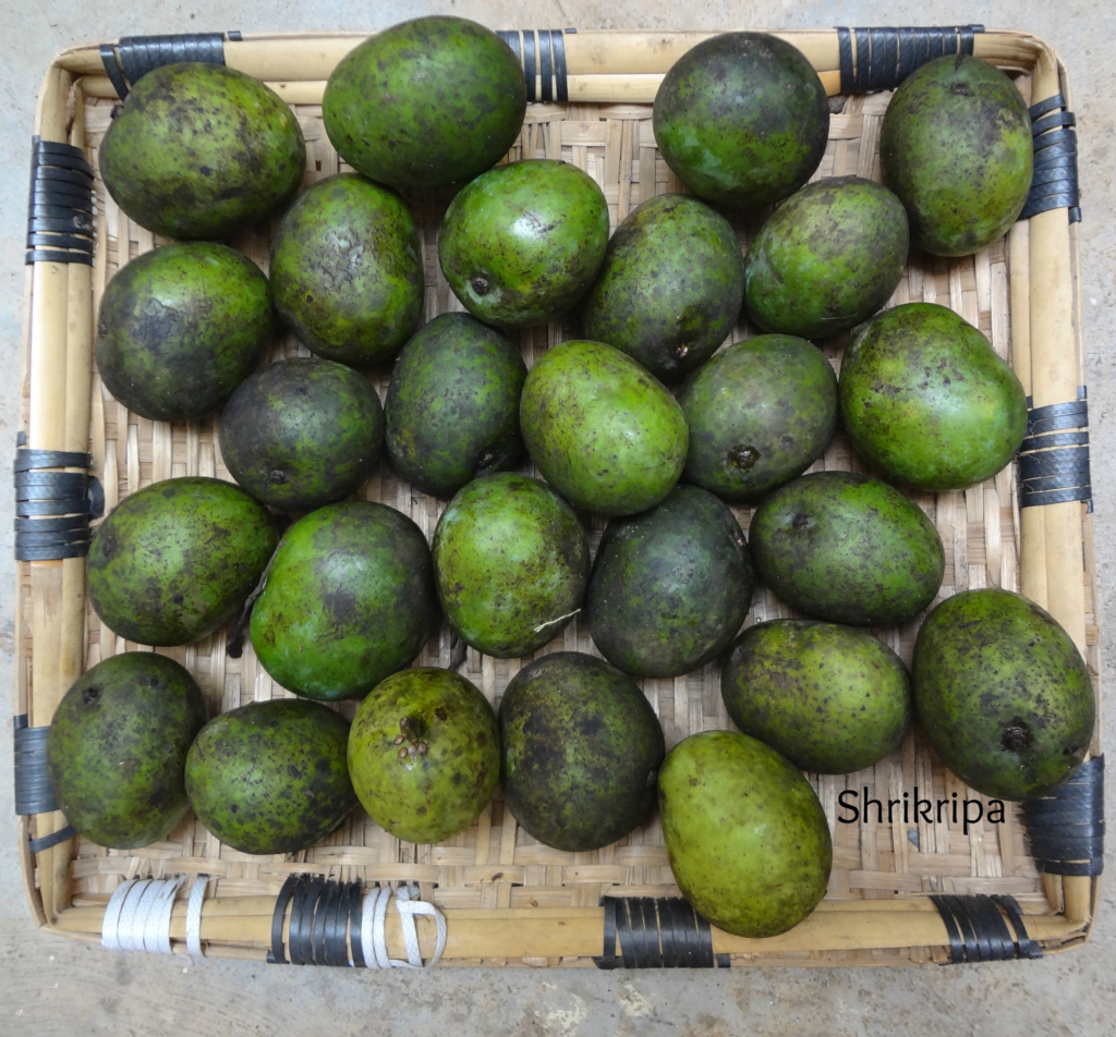 Idikayi Uppinakai / Whole mango pickle in roasted masala: