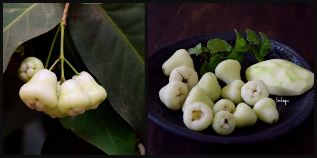 Bell fruit -Raw Mango- Mint juice: